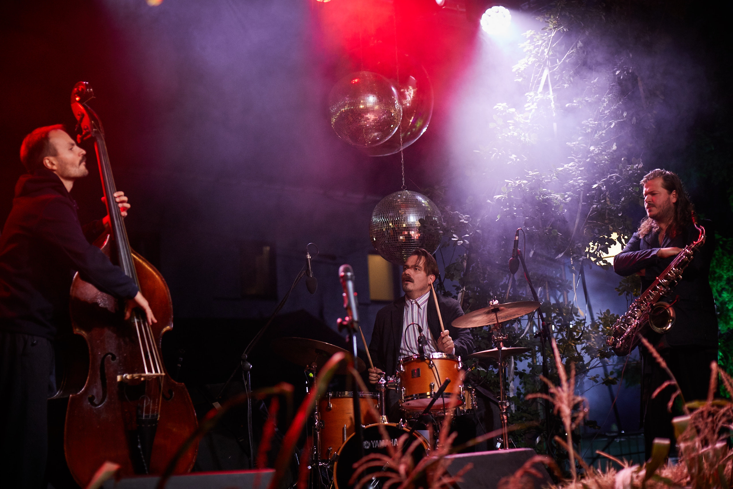 TENCZYNKI / BROWAR TENCZYNEK - Hartwig Fashion